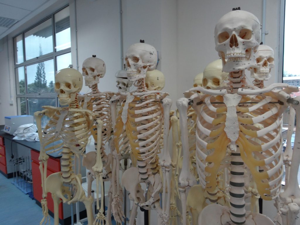 Teaching Laboratory - CRAFS